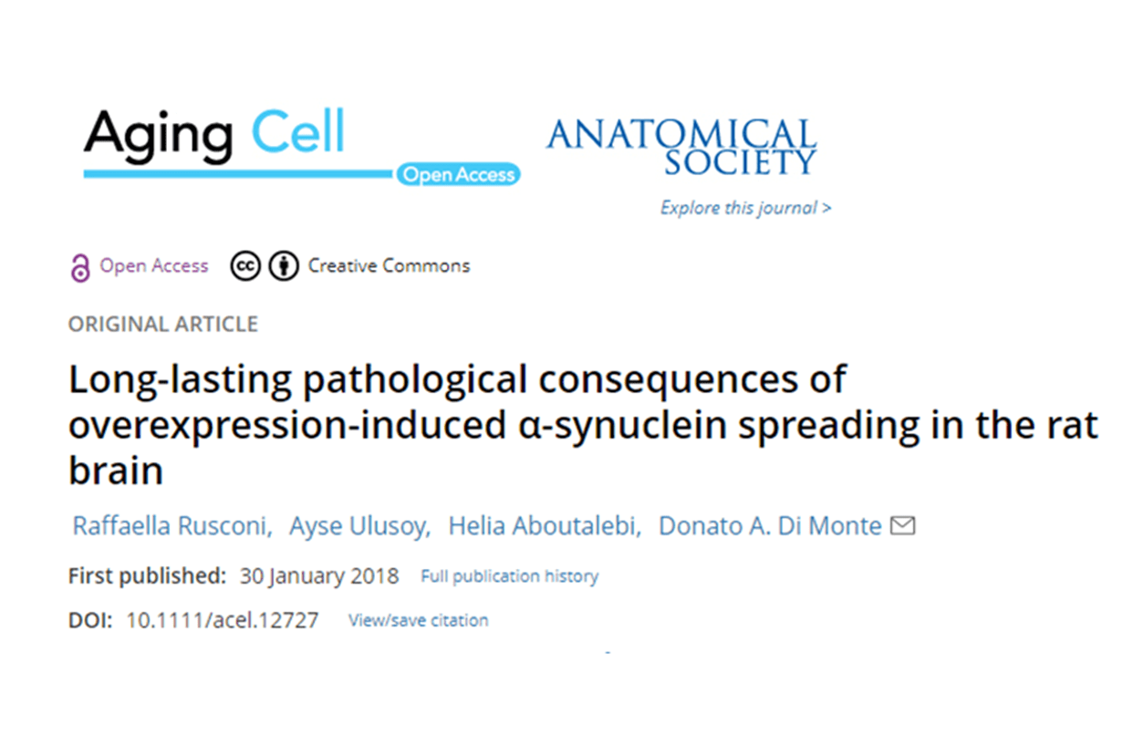 Long-lasting pathological consequences of overexpression-induced α ...